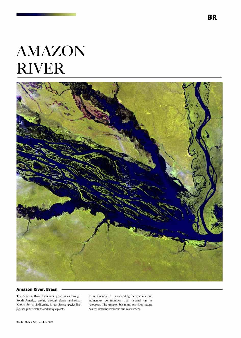 Amazon River Article - Cuadros Article Collection | Studio Malek