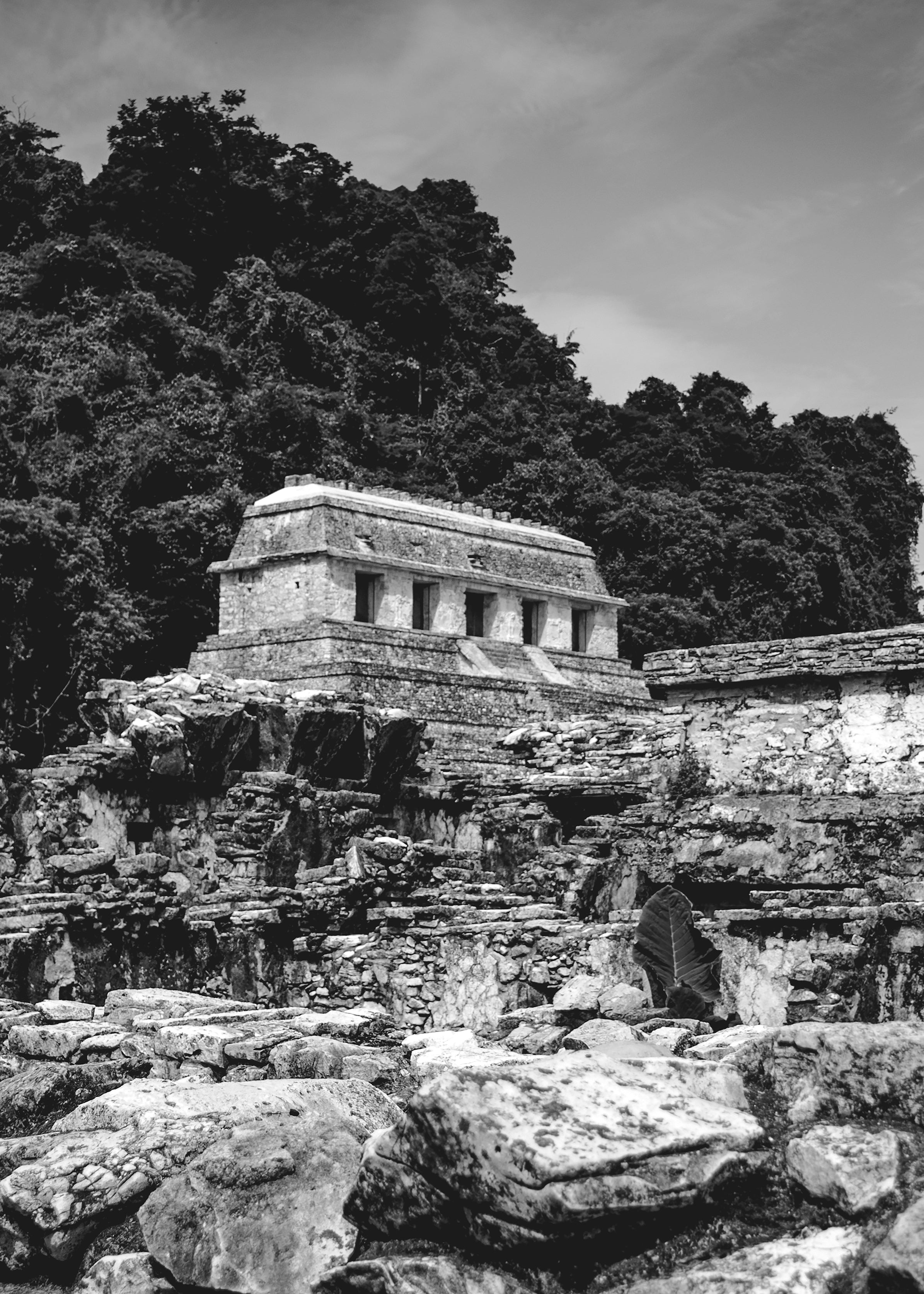 Palenque – Studio Malek