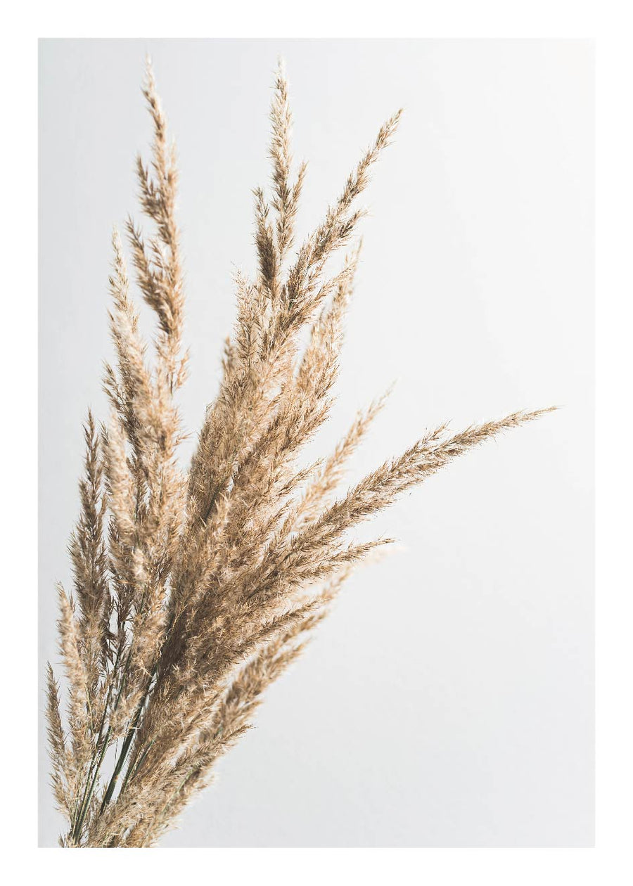 Cuadros de Fotos - Studio Malek®